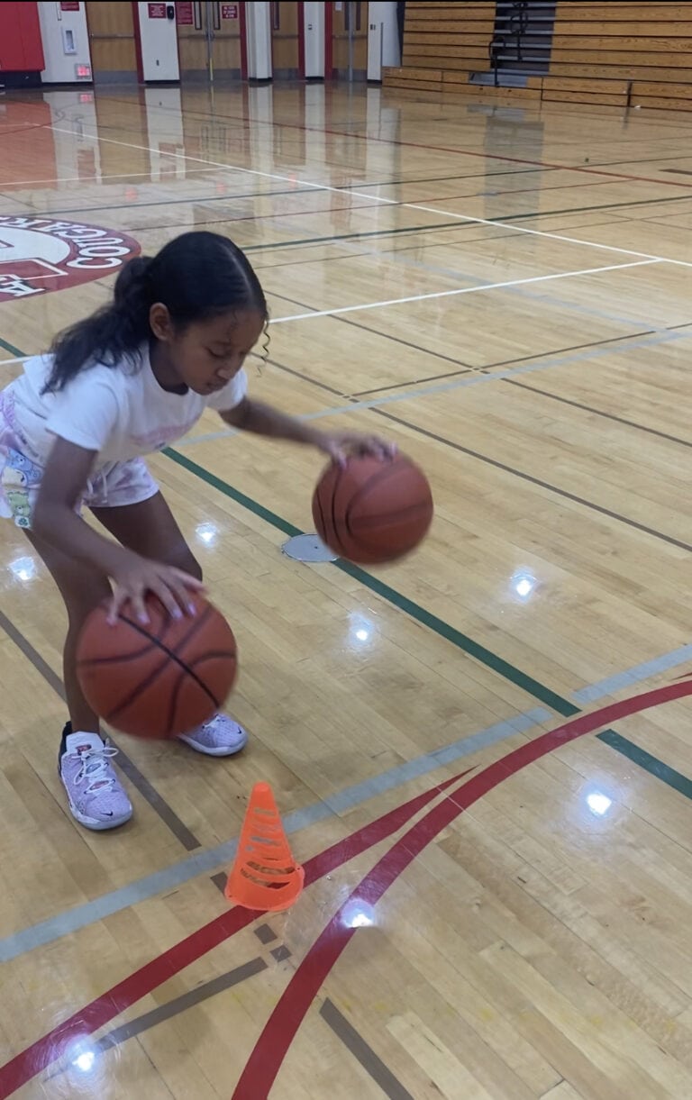BAY AREA WILDCATS BASKETBALL