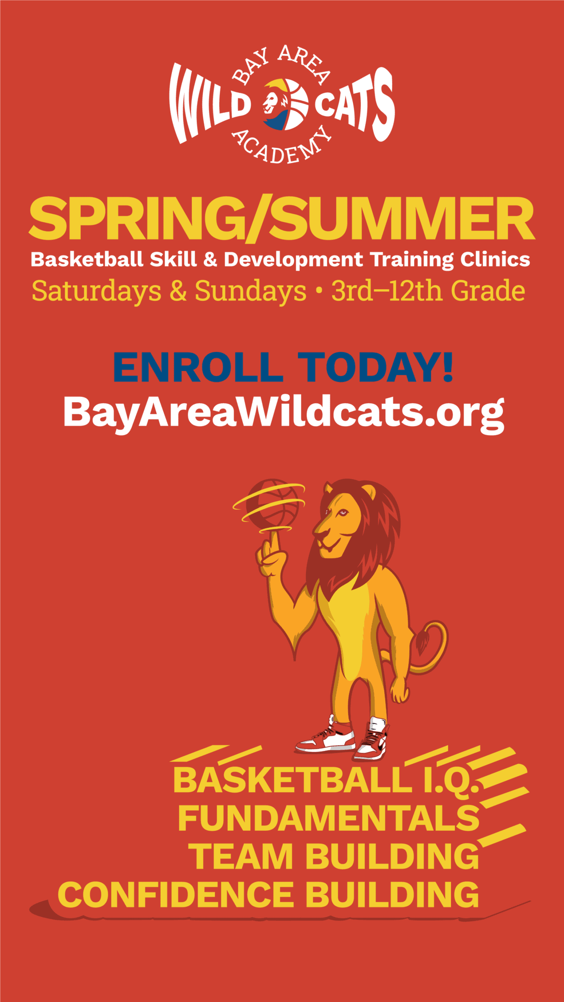BAY AREA WILDCATS BASKETBALL